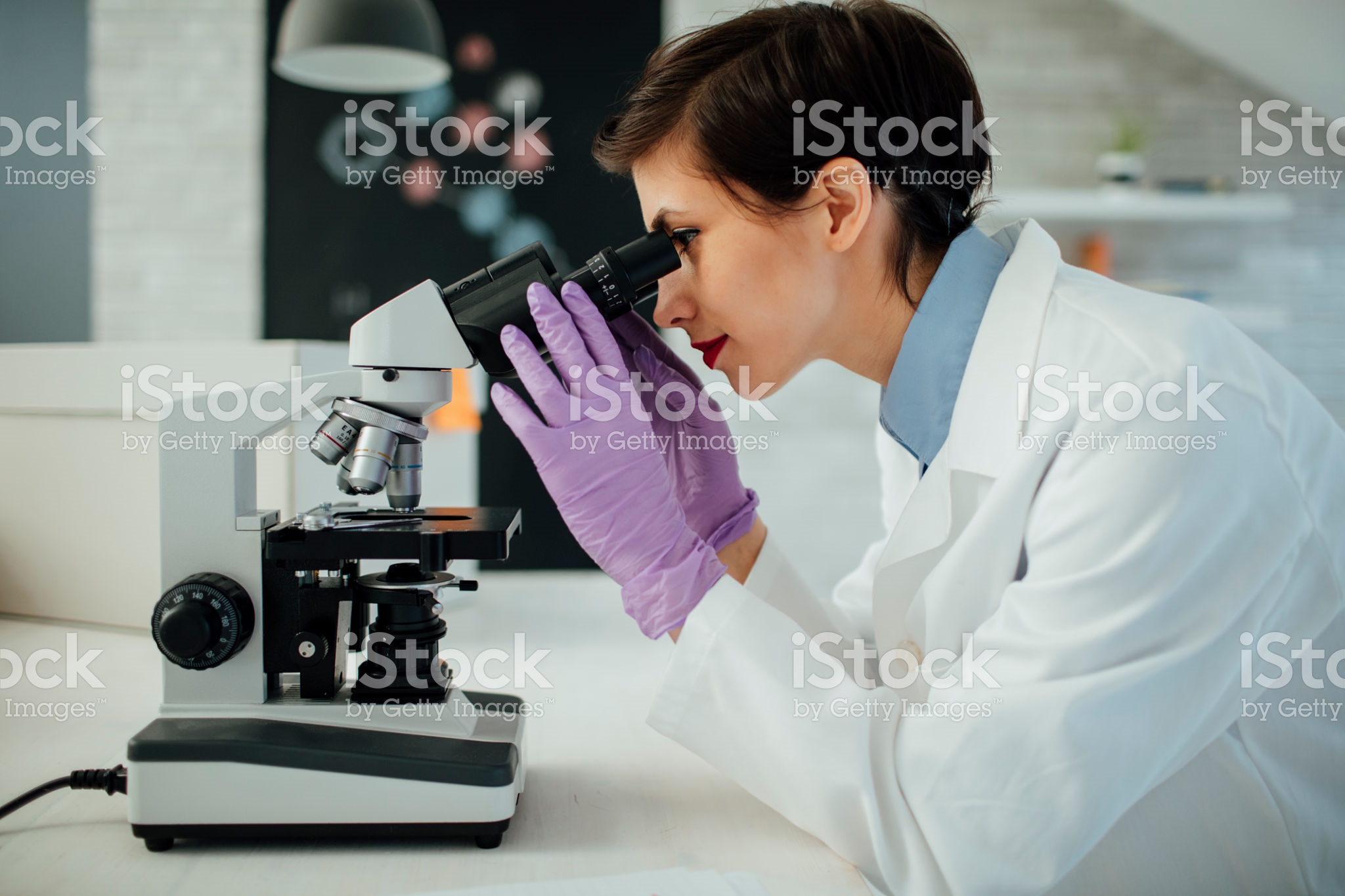 Accugen Laboratories, Inc. - Contract microbiological testing services ...