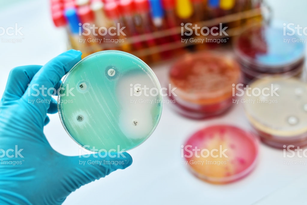 Antimicrobials | Accugen Laboratories, Inc. - Contract microbiological ...